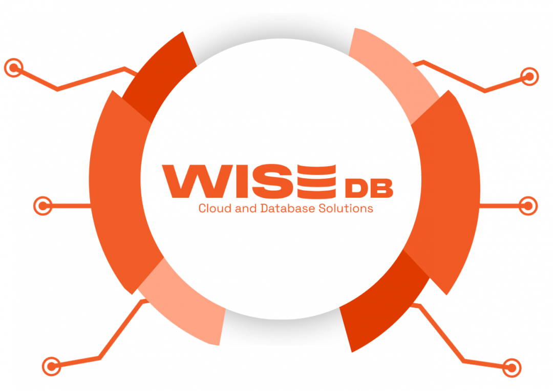 Home - WiseDB - Cloud and Database Solutions
